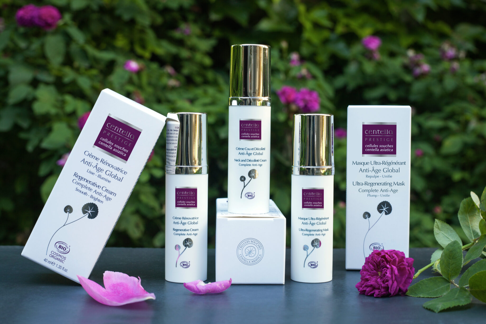 CENTELLA | Natural Skincare